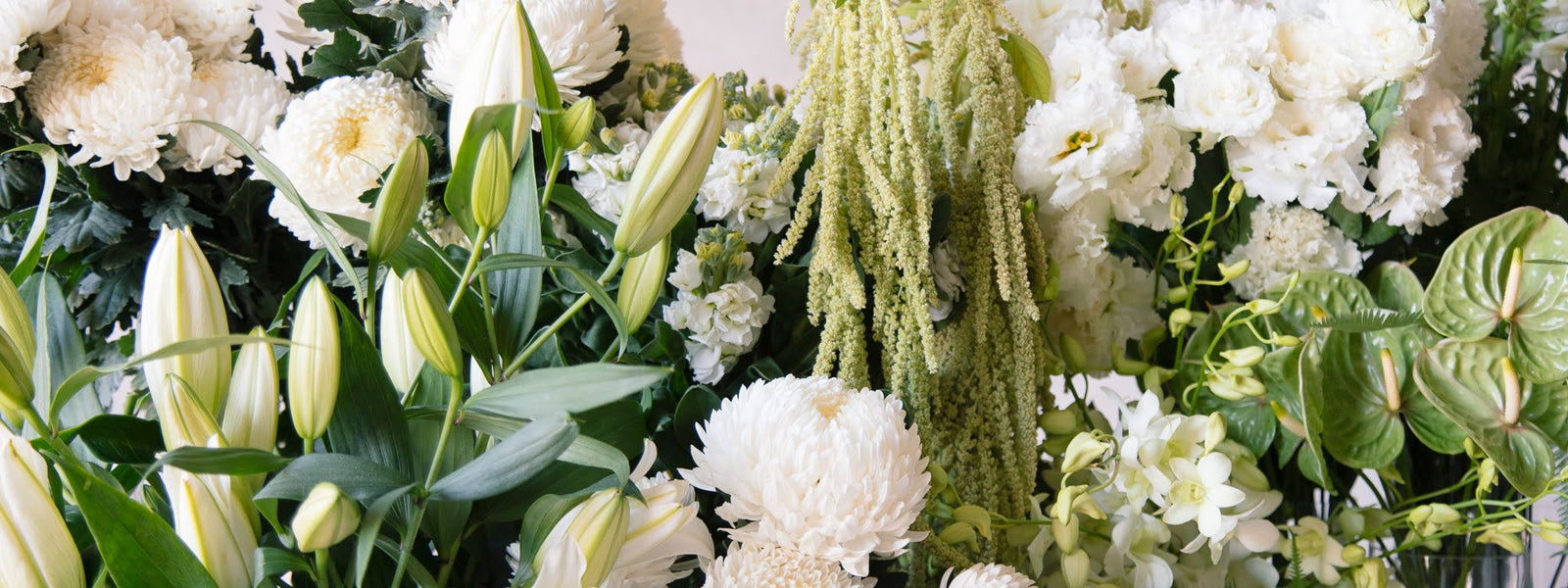 White Flower Collection | Darwin Flower Delivery | Beija Flor