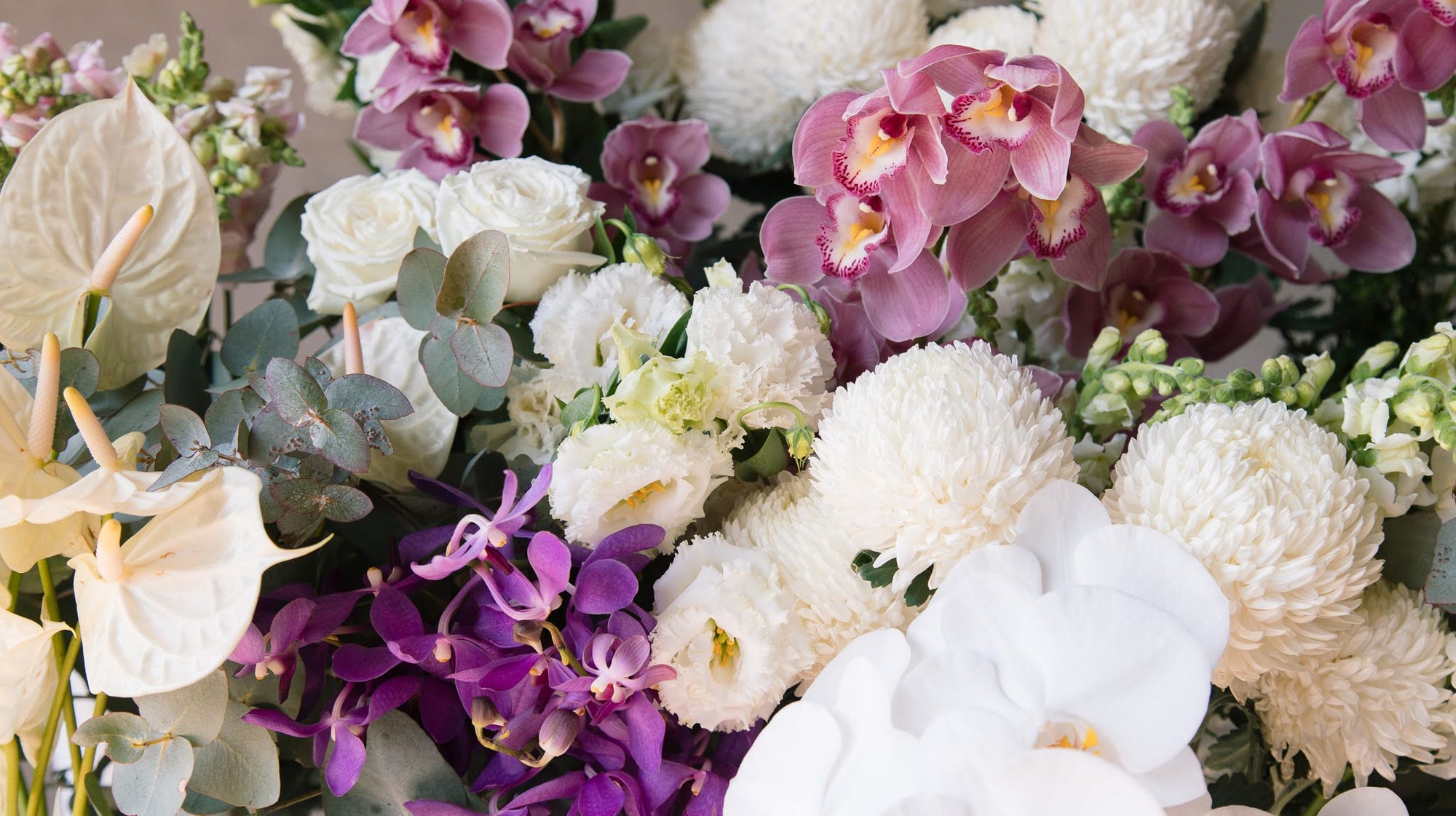 New Baby Flowers | Darwin Flower Delivery | Beija Flor Florist