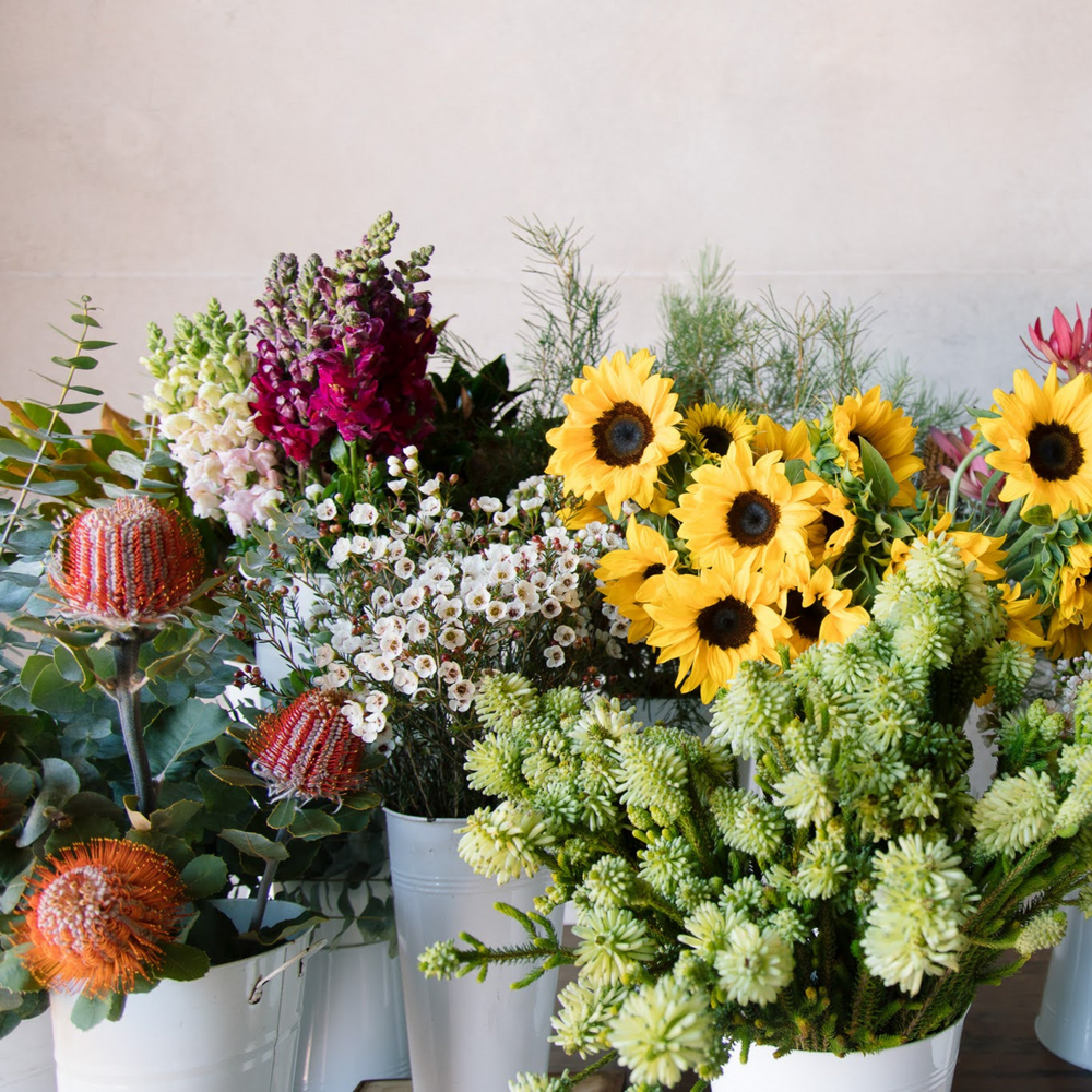 Fresh Flowers & Bouquets | Darwin Flower Delivery | Beija Flor