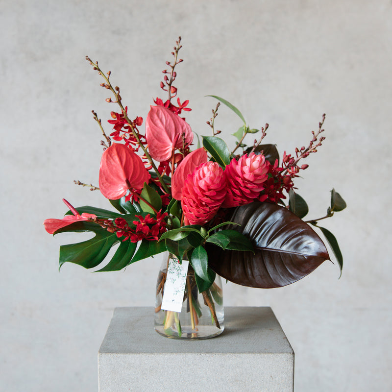 Congratulations Flowers | Darwin Flower Delivery | Beija Flor