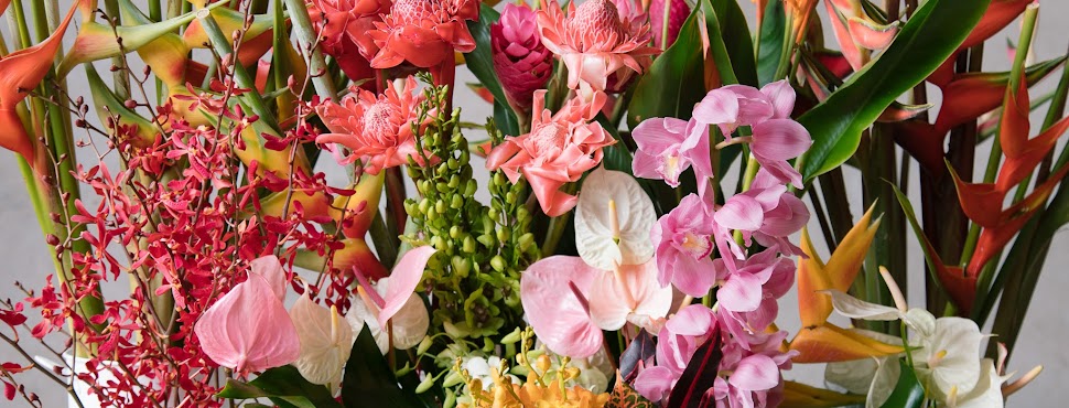 Beija Flor Florist Darwin | Fresh Bouquets and Flower Delivery