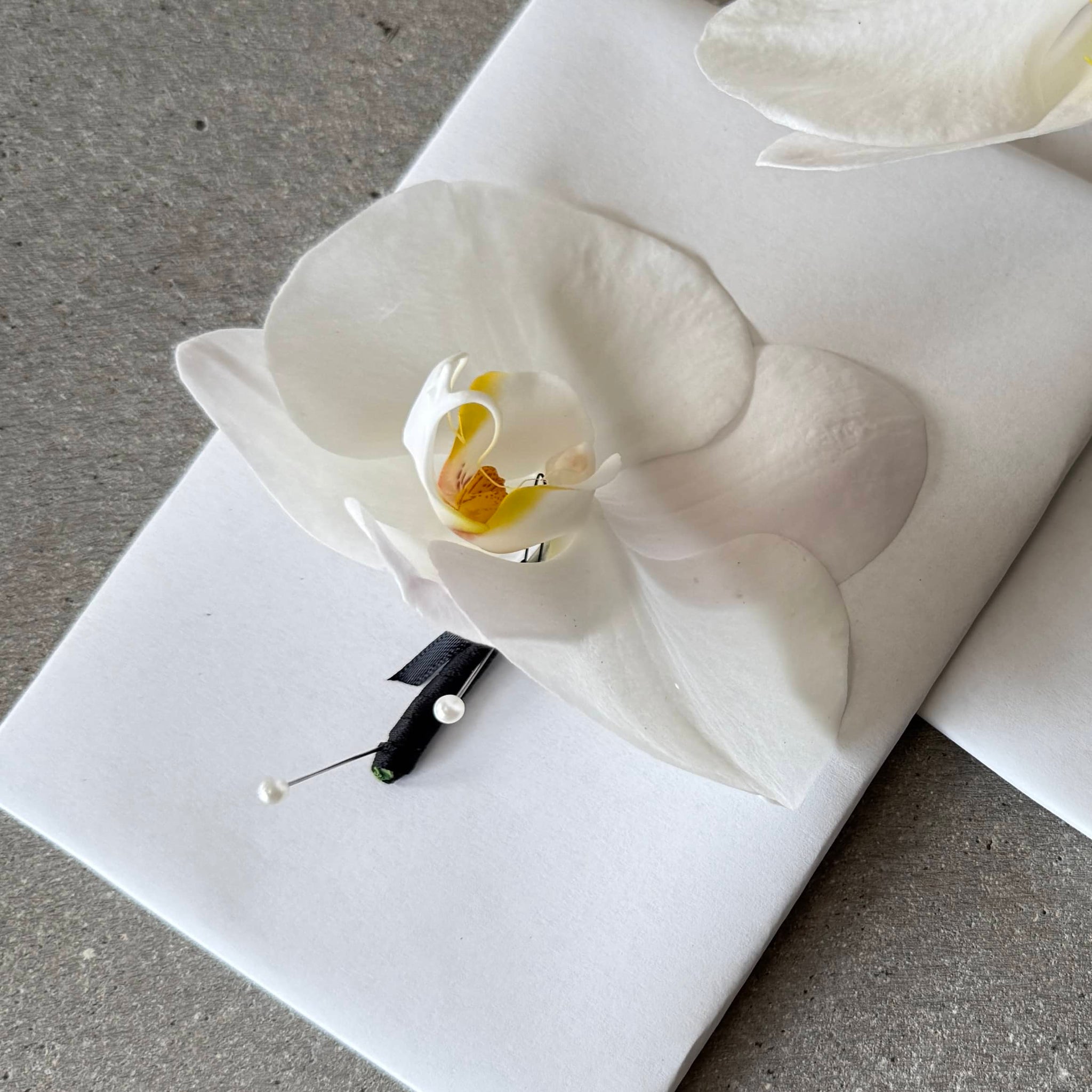 Orchid Buttonhole | Corsages & Boutonnières | Beija Flor Florist Darwin